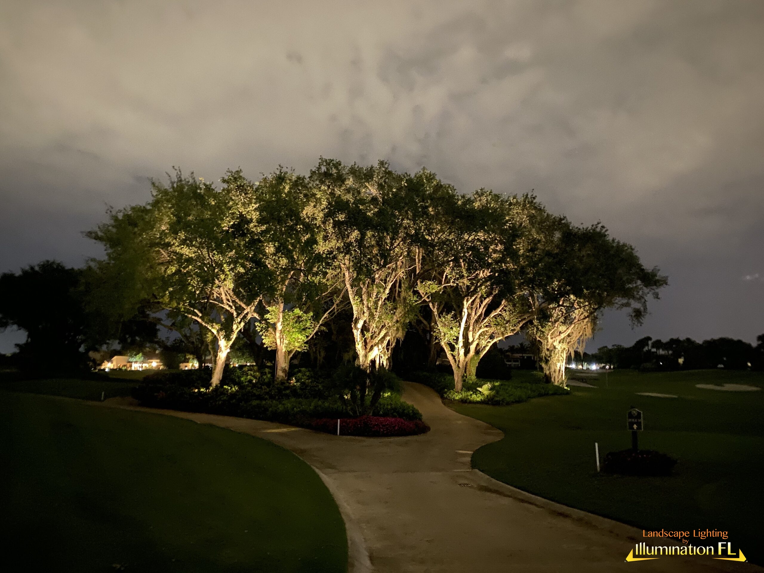 Portfolio - Illumination FL